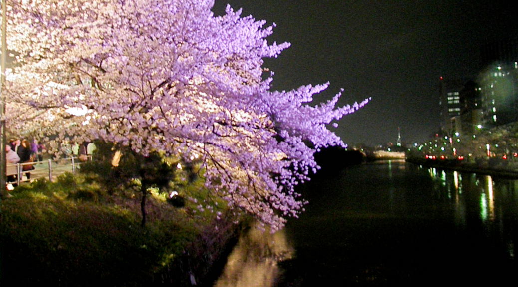 Hanami night -Karo No Kyuuto-